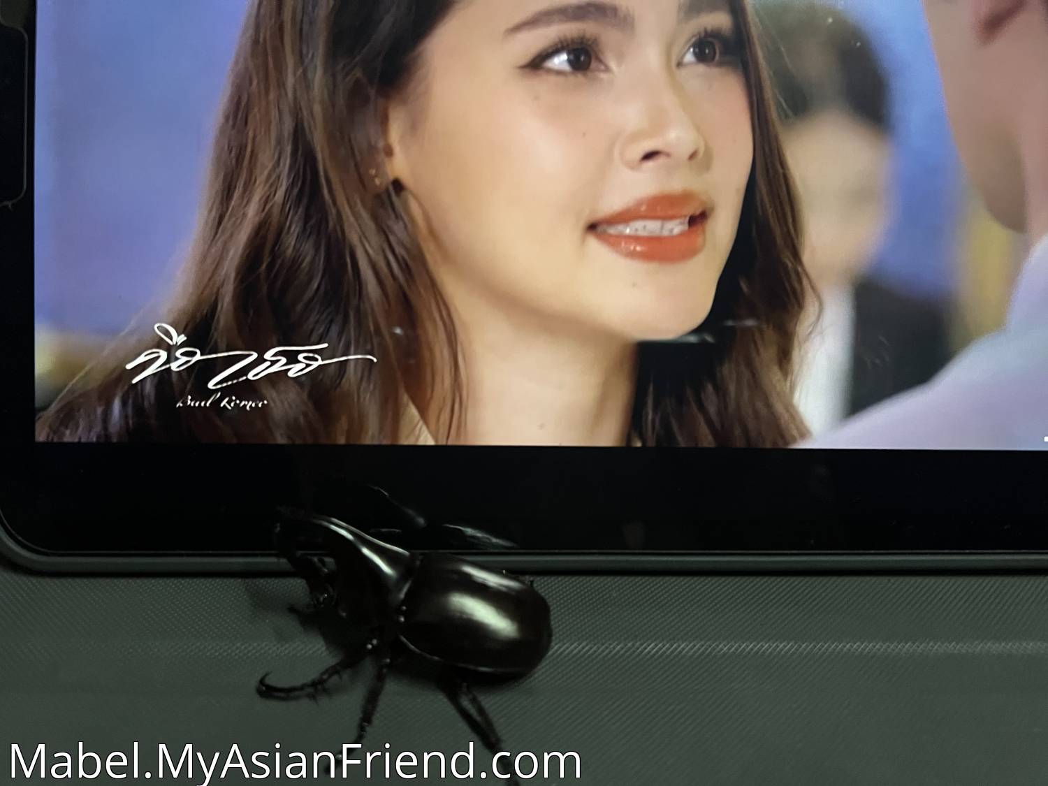 Mabel's Blog Post For The 25th Of August 2022